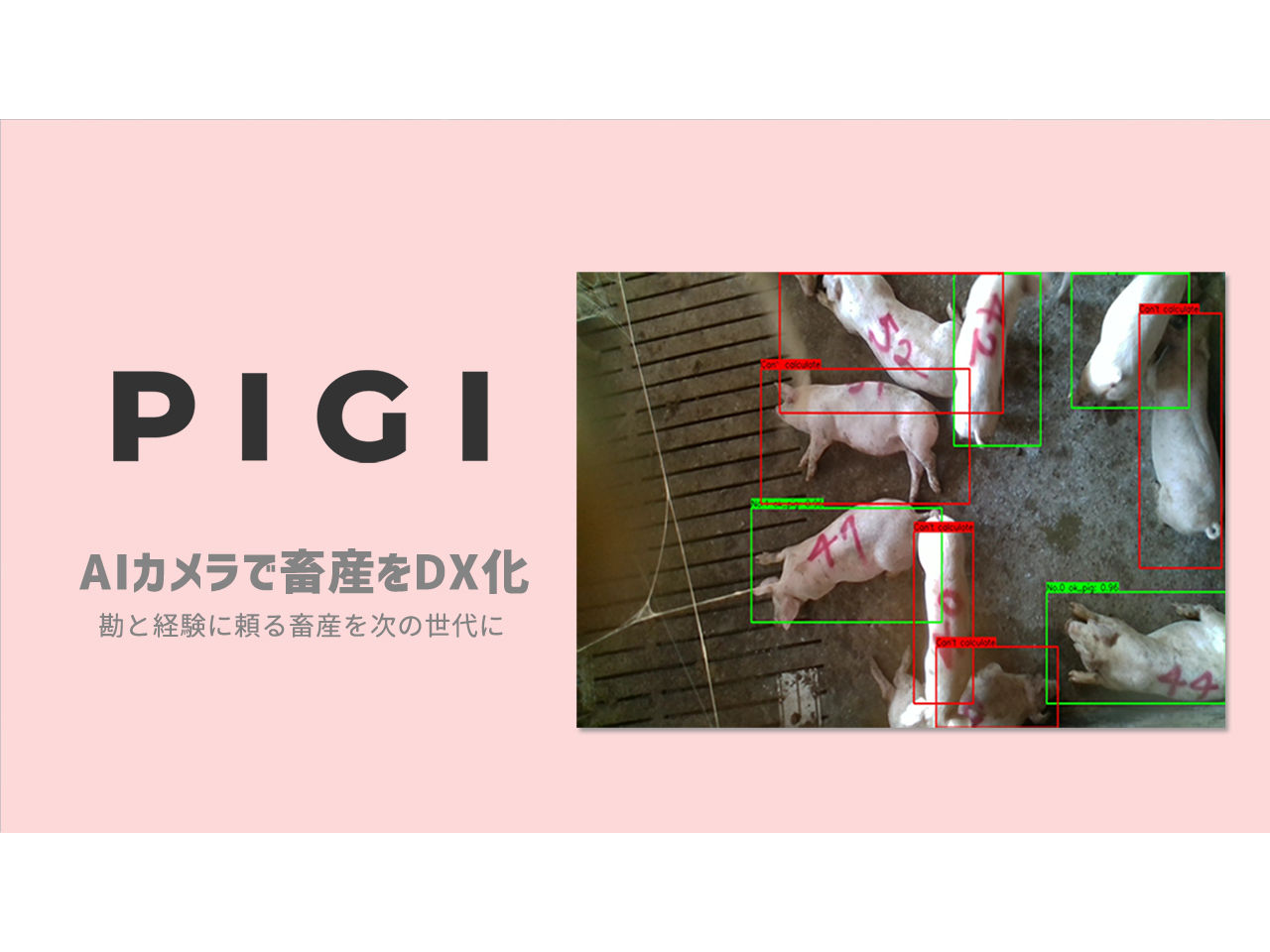 豚の個体数や体重・健康状態を把握できる養豚農家向けAIカメラシステム「PIGI」がベータ版公開 | TechCrunch Japan Archive