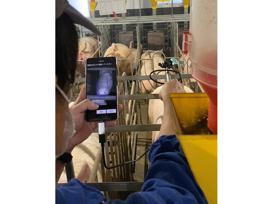 NTTテクノクロスが撮影するだけで繁殖に適した母豚の体重管理ができるシステムを販売 | TechCrunch Japan Archive